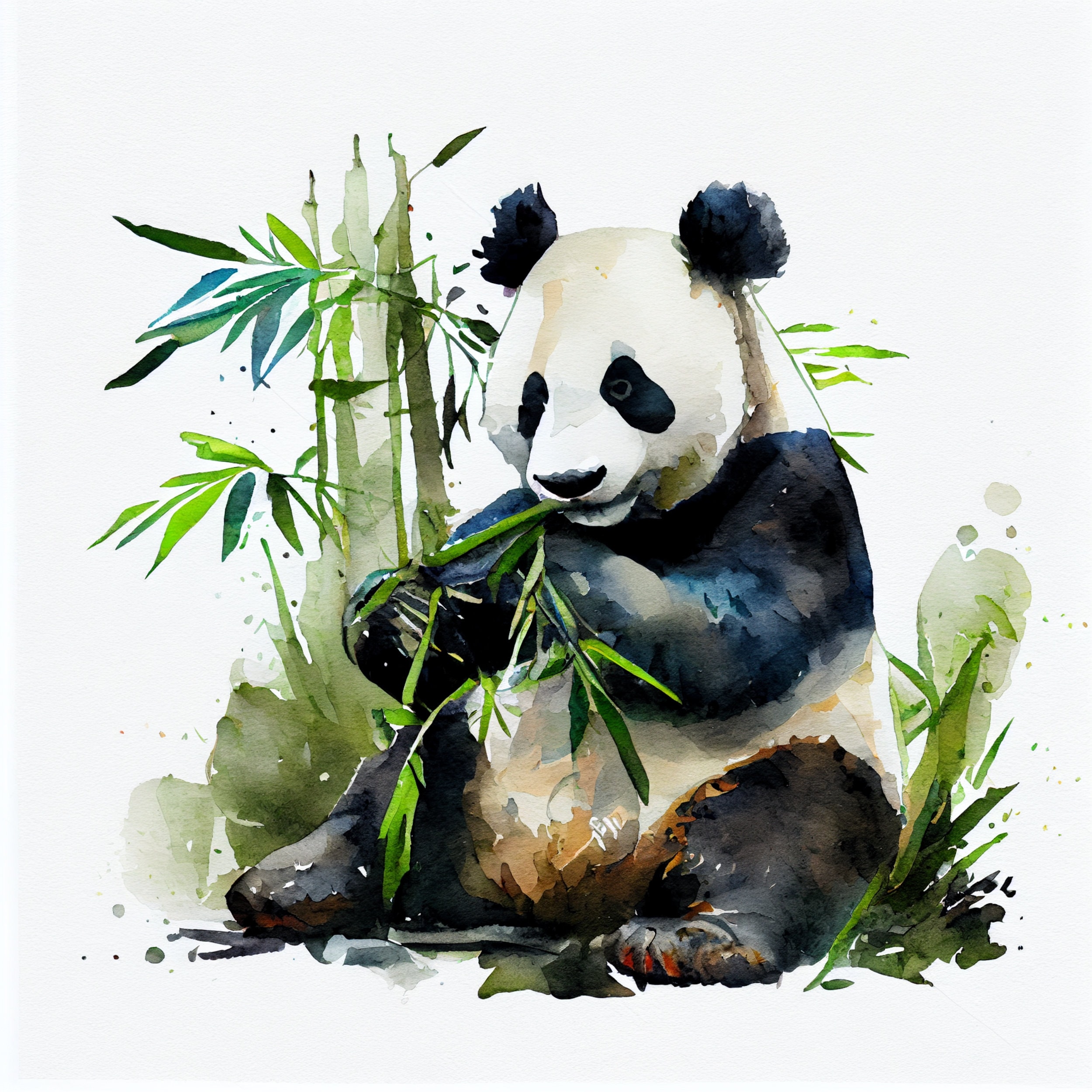 Bamboo Forest Panda Clipart for Digital Art and Crafts - Etsy