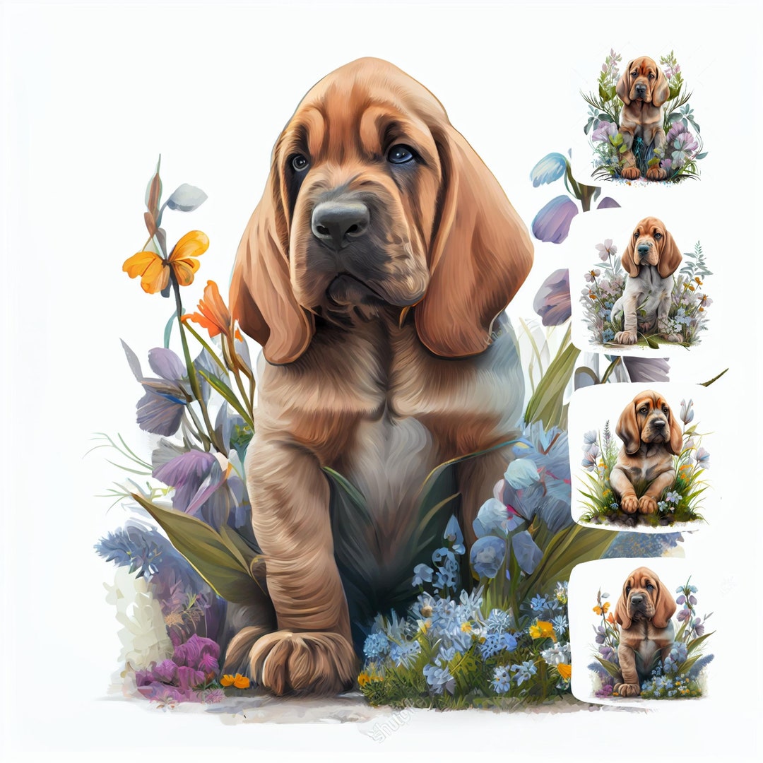 Bloodhound Puppy Digital Watercolor Clipart, Bloodhound Breed Printable ...