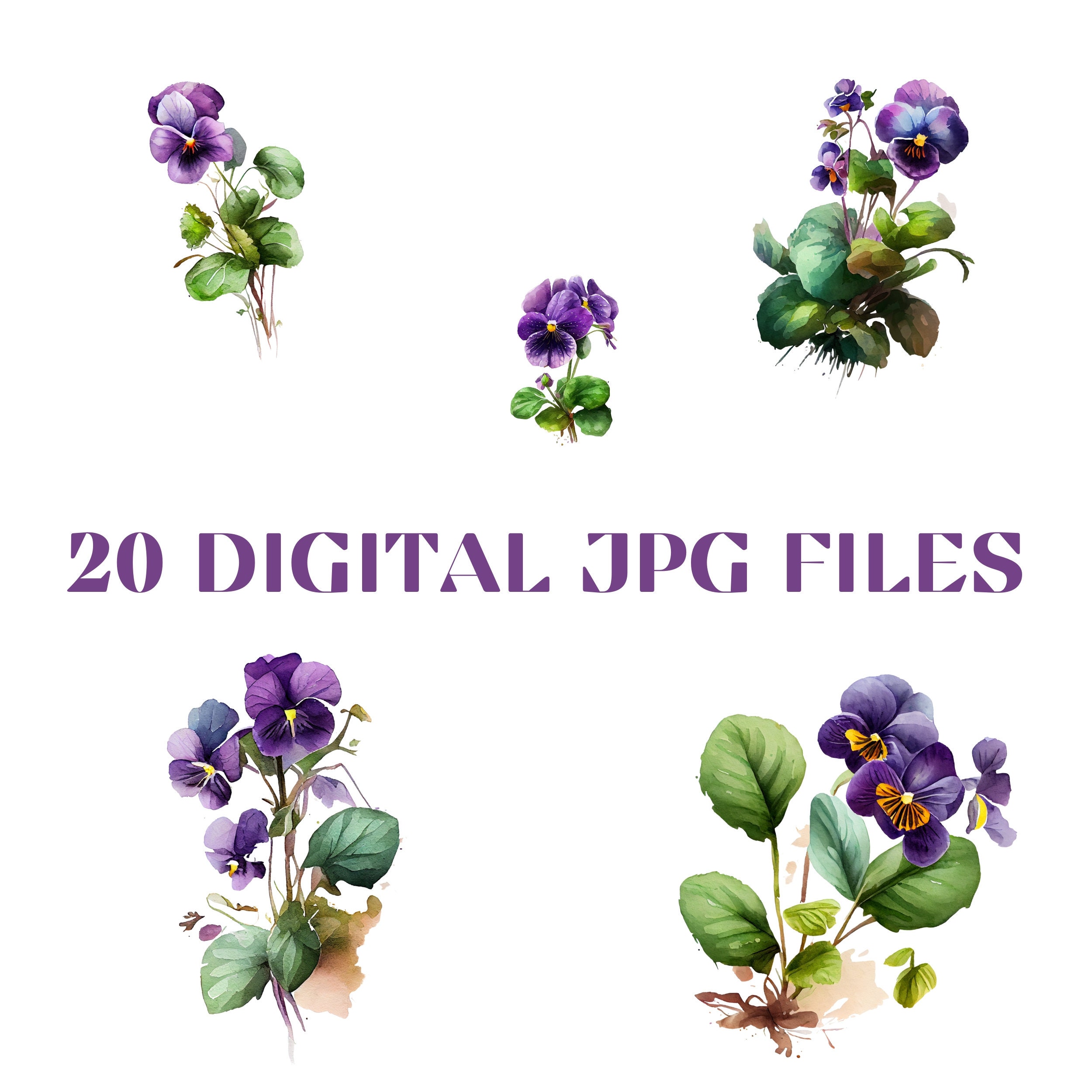 Violets Flower Digital Watercolor Clipart, Violets Flower Printable ...