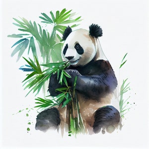 Bamboo Forest Panda Clipart for Digital Art and Crafts - Etsy
