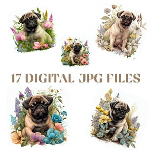 Pug Puppy Digital Watercolor Clipart Pug Puppy Breed Printable ...