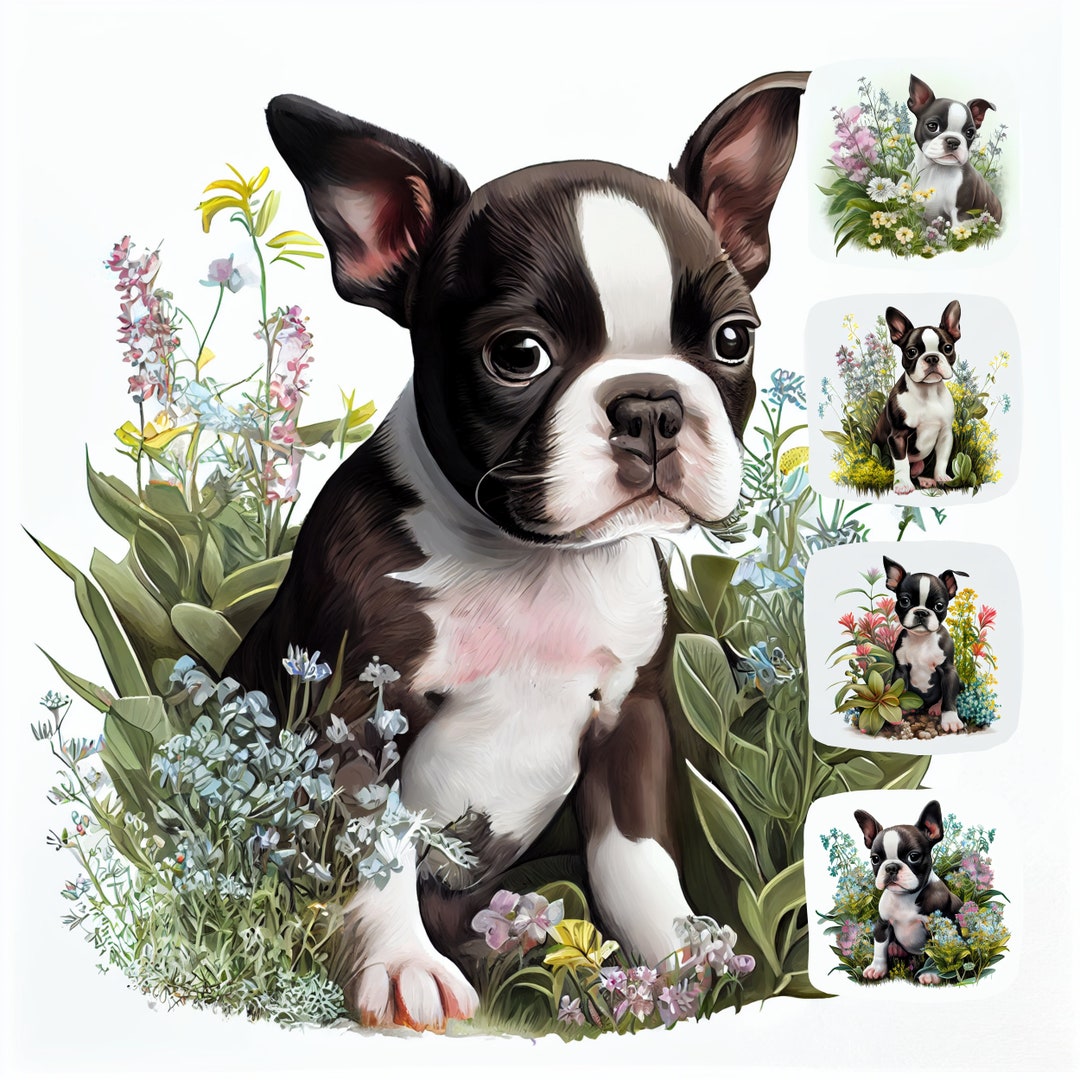 Boston Terrier Puppy Digital Painting Clipart, Boston Terrier Printable ...