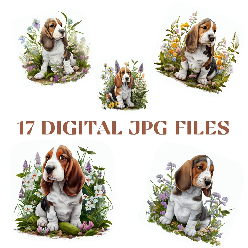 Basset Hound Puppy Clipart Bundle – 17 Watercolor Jpgs for Crafts ...