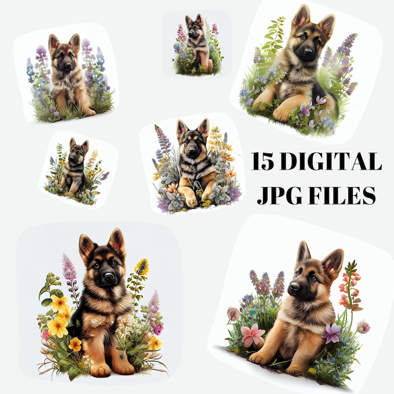 Watercolor German Shepherd Puppy Clipart, Dog Illustration (15 JPG ...