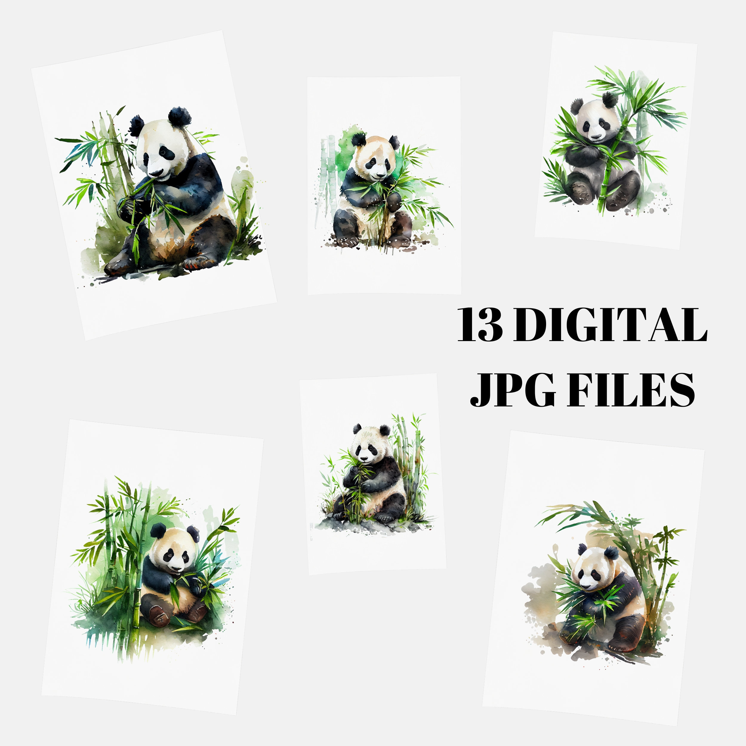 Bamboo Forest Panda Clipart for Digital Art and Crafts - Etsy