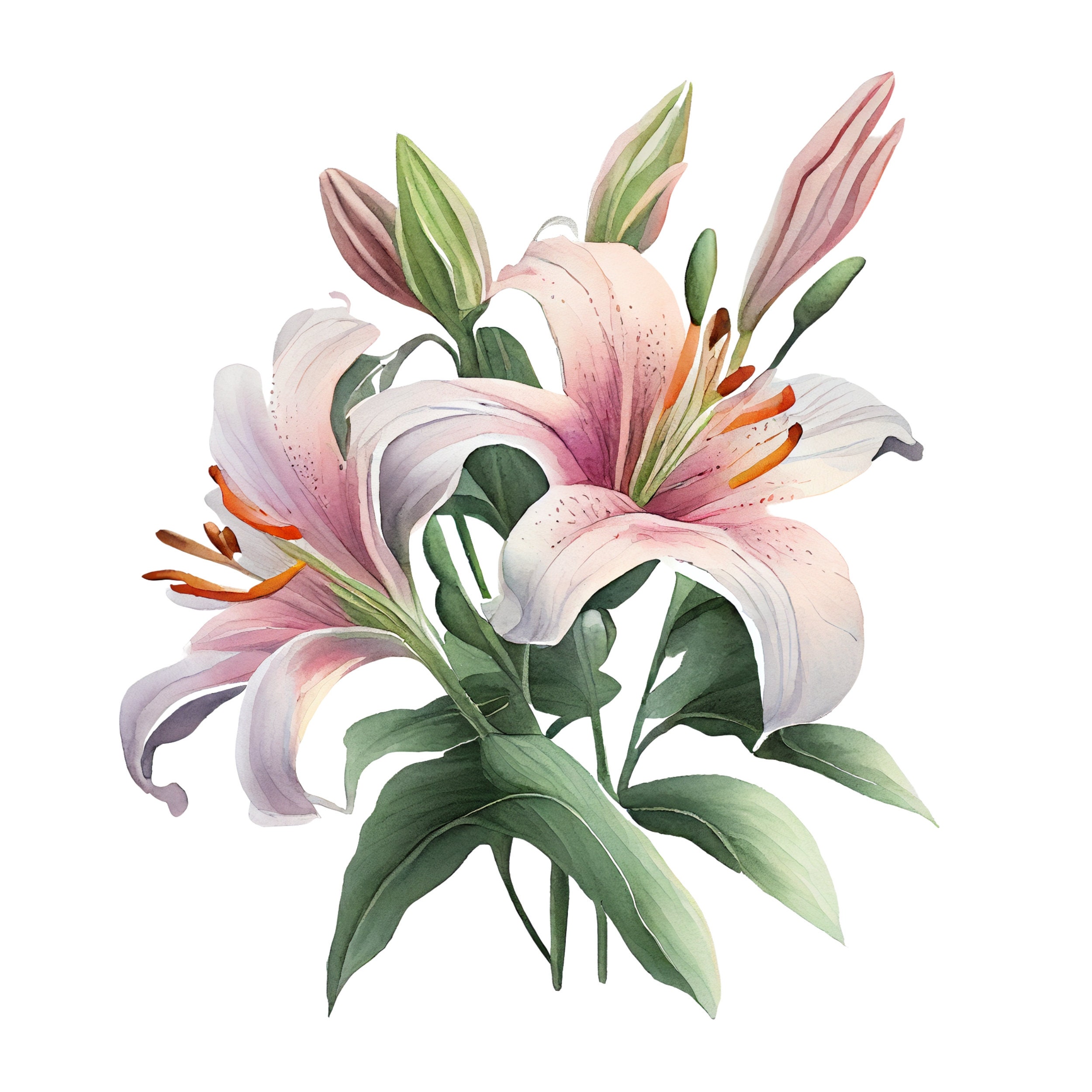 Lilies Flower Digital Watercolor Clipart, Lilies Flower Printable Wall ...