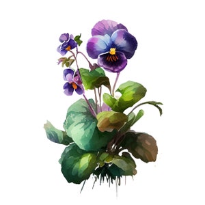 Violets Flower Digital Watercolor Clipart, Violets Flower Printable ...