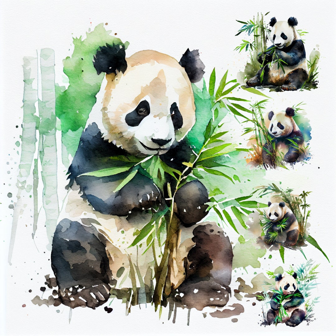 Bamboo Forest Panda Clipart for Digital Art and Crafts - Etsy