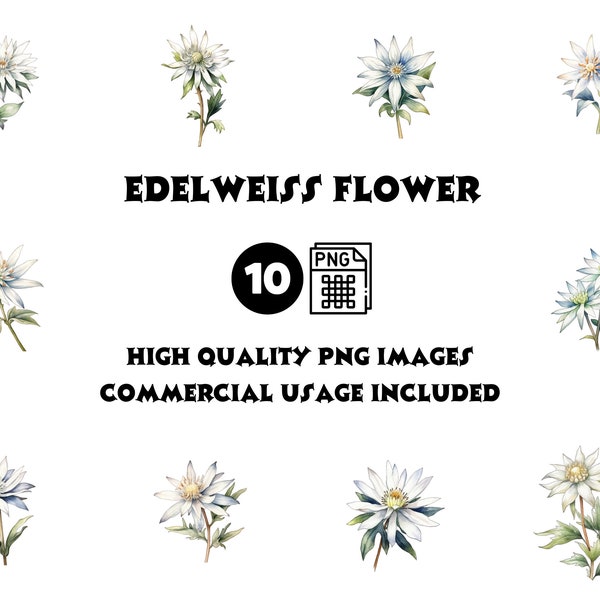 Edelweiss Wall Art - Etsy