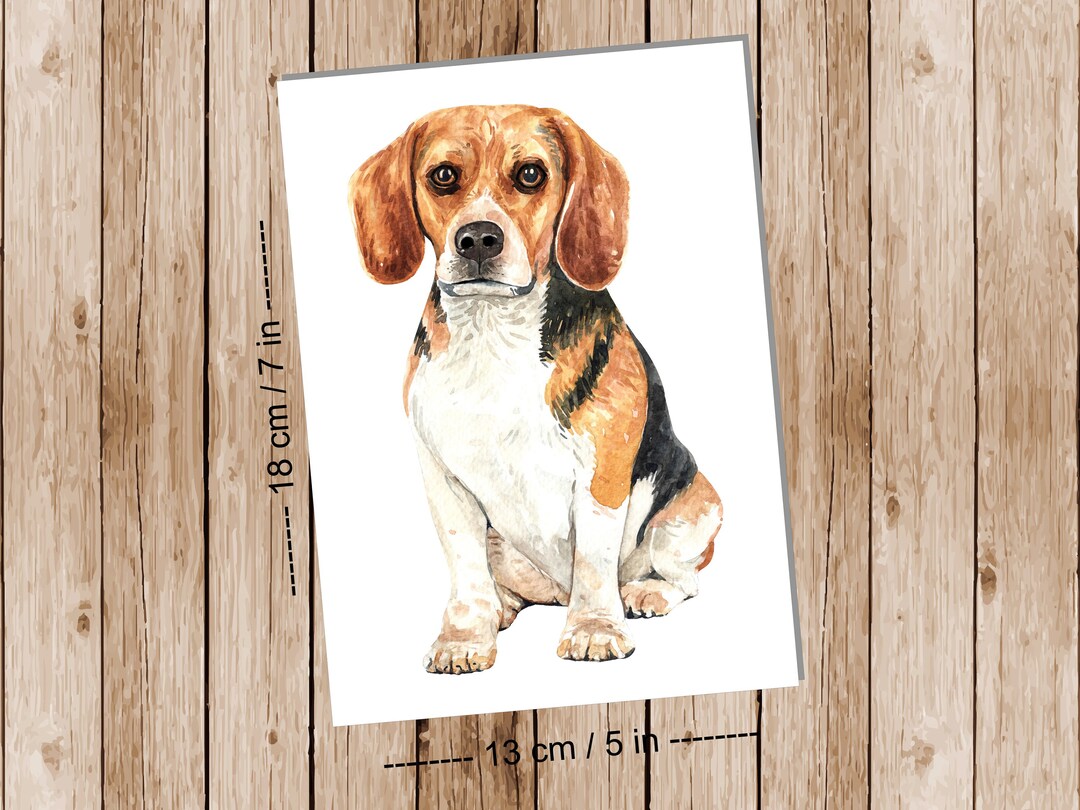 DOGS Breeds Poster Art Print for Photo Frame Interior - Etsy