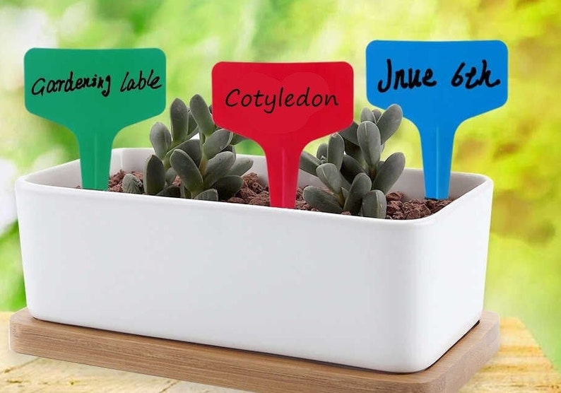 Red T-shaped Plant Labels Garden Stake Plastic Row Marker - Etsy