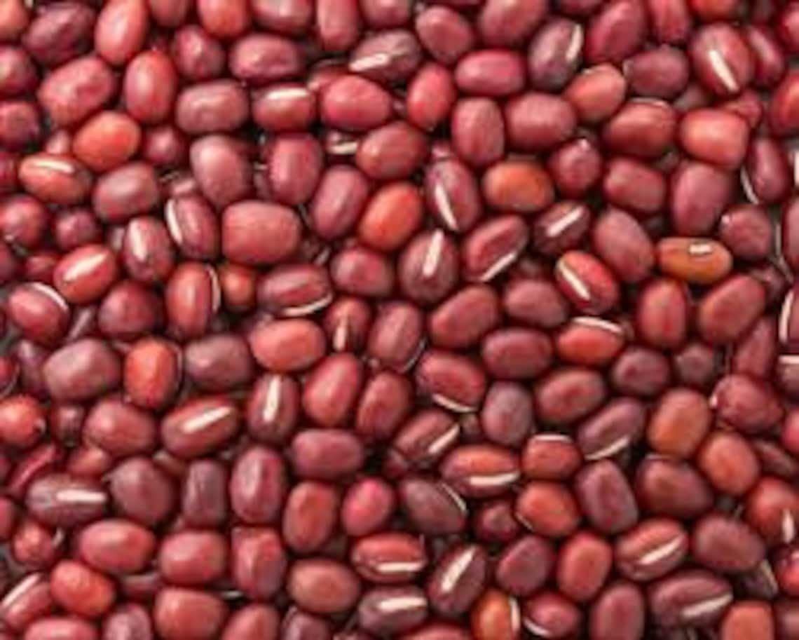 Red Ripper Cowpea Seeds Organic Non GMO Heirloom USA | Etsy