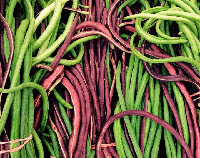 Yard Long Green Bean Seeds, Đậu Đũa Non-gmo Garden Seeds From USA, Free ...