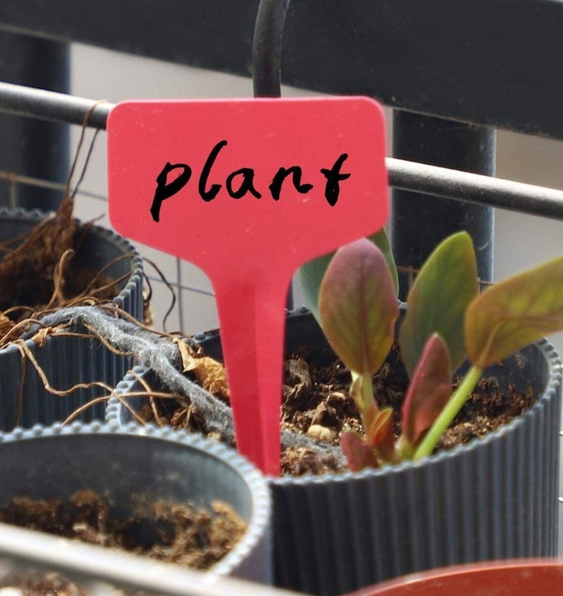 Red T-shaped Plant Labels Garden Stake Plastic Row Marker - Etsy