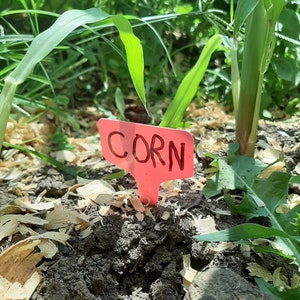 Red T-shaped Plant Labels Garden Stake Plastic Row Marker - Etsy