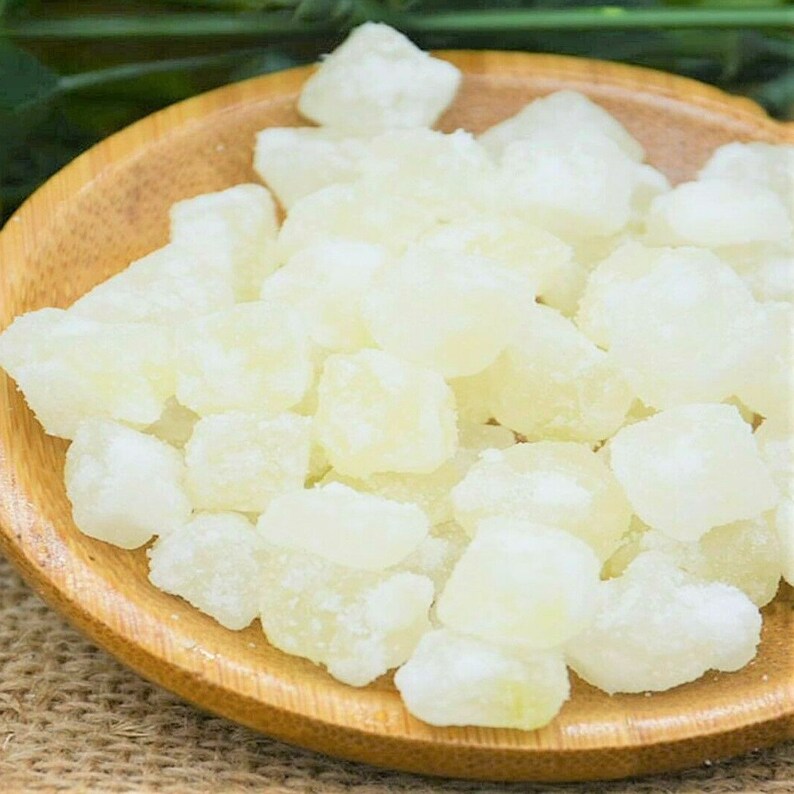 Wax Gourd Seeds Giant White Skin (Dong Gua) - 2025 Fresh Harvest, Easy ...