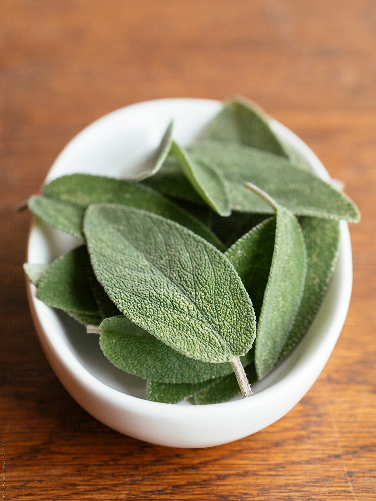 Broadleaf Sage Seeds Salvia Officinalis Heirloom Seed Thyme - Etsy