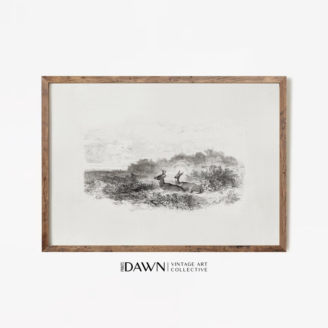 Vintage Deer Drawing Woodland Landscape Sketch Rustic Doe Print Vintage ...