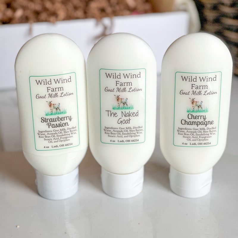 Easy to Care for Wind - Etsy