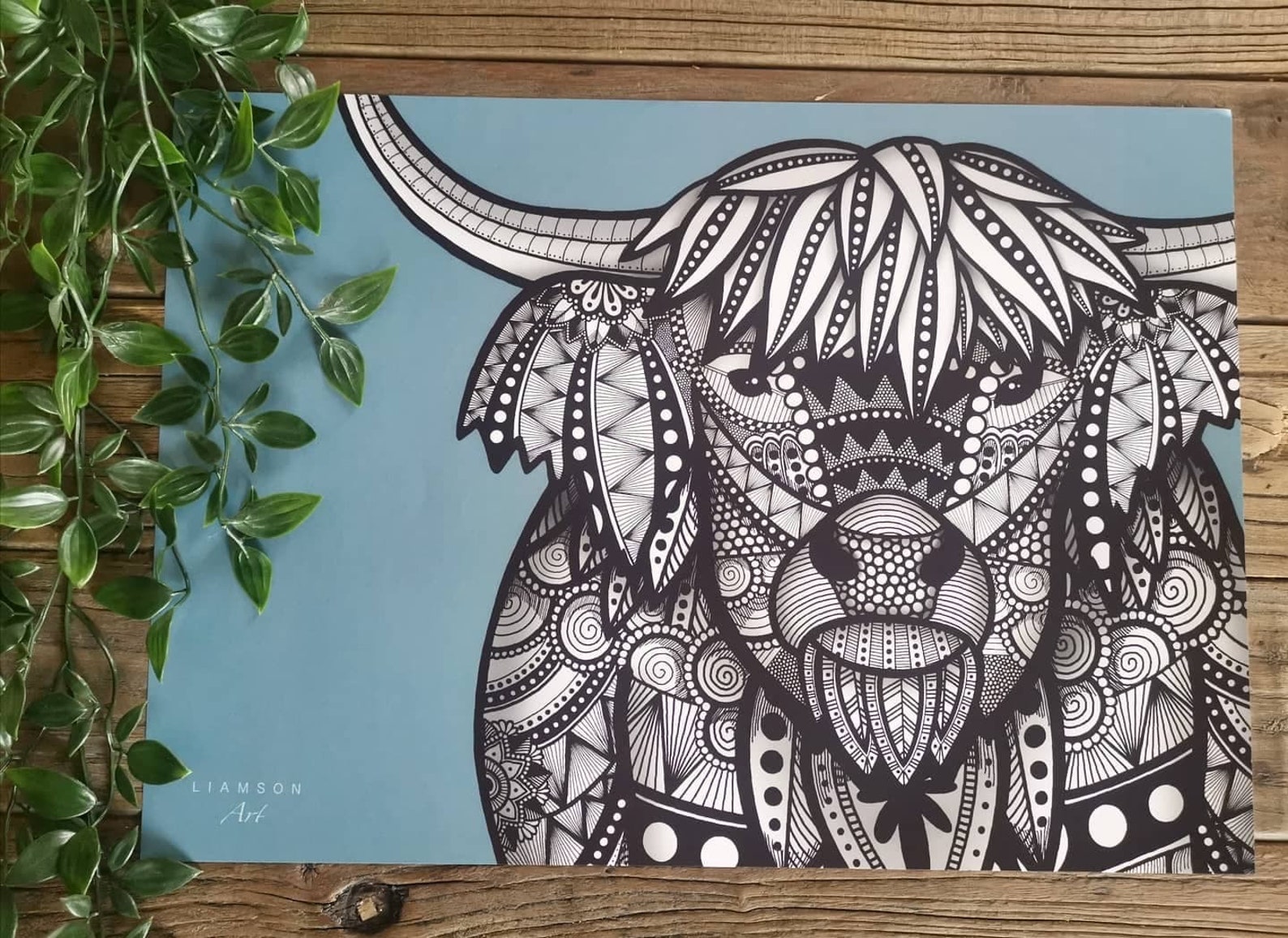 Highland Cattle Cow Zentangle Poster Close Up - Etsy