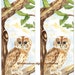 OWL DIGITAL BOOKMARK. Bird Digital Paper. Printable Craft | Etsy