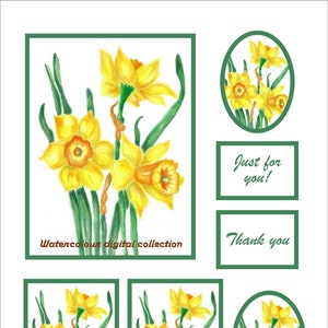 Daffodil Watercolor Card: Printable Floral Image (digital Download) - Etsy
