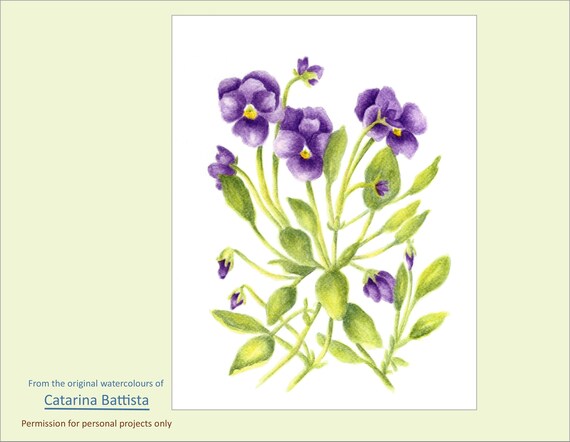 Botanical Digital Download Floral Illustration Wall Art - Etsy