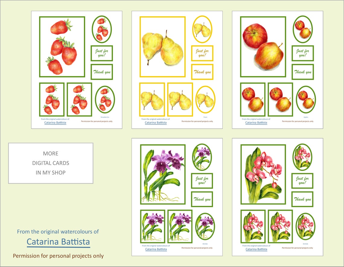 DAFFODIL CARD. Daffodil Watercolor. Flower Watercolor Ephemera Image ...