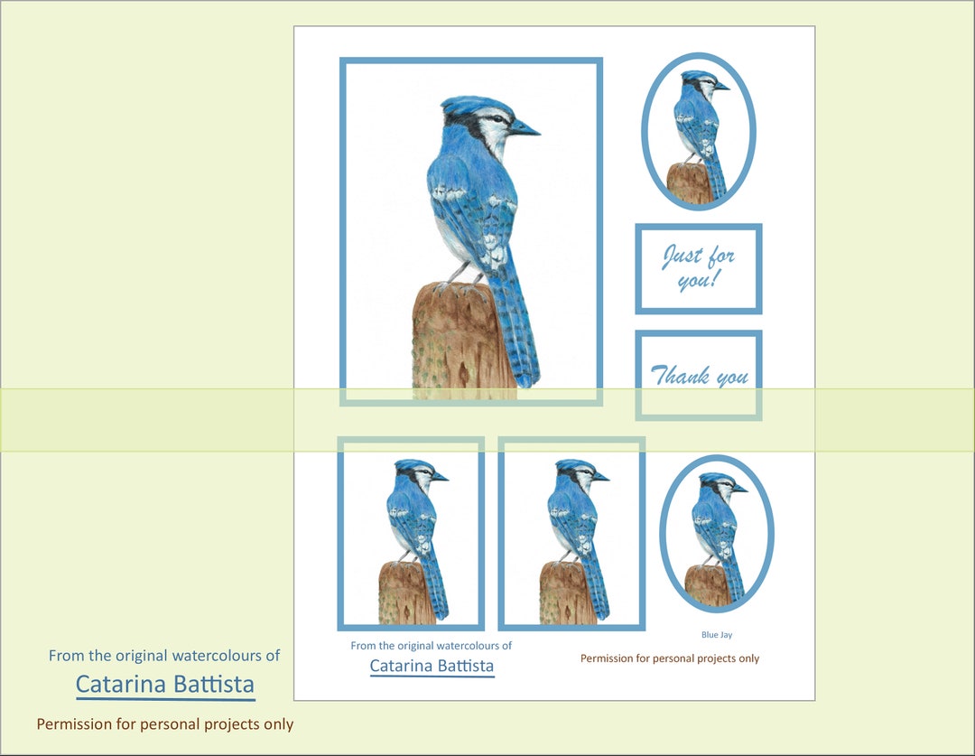 BIRD Card. BLUE JAY Printable Image for Card, Gift Tag, Postcard ...