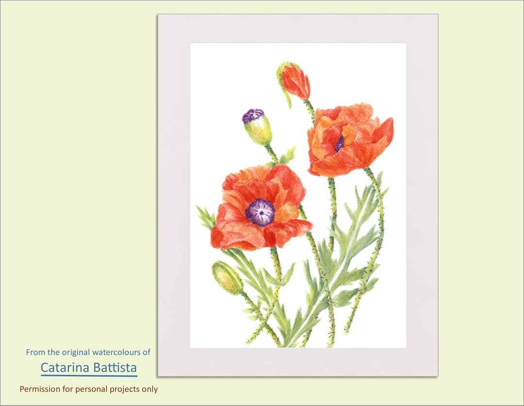 Poppies Watercolor Printable Art, Floral Wall Art Print, Flowers ...