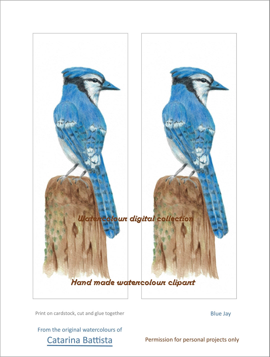 Bird. BLUE JAY BOOKMARK. Digital Image, Printable, Collage Sheet, Gift ...