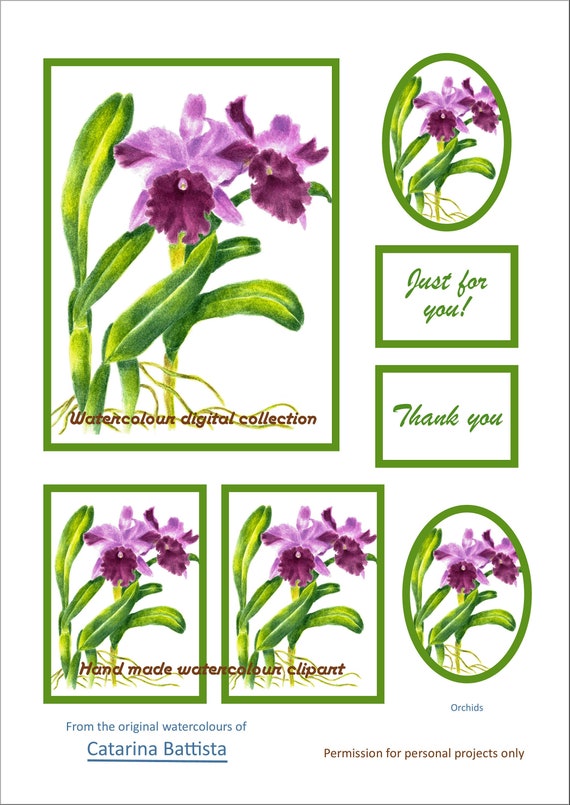 ORCHIDS Digital Card. Printable Download. Botanical Gift Tag | Etsy