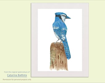 Blue Jay Bird Watercolor Painting Digital Download Print - Etsy