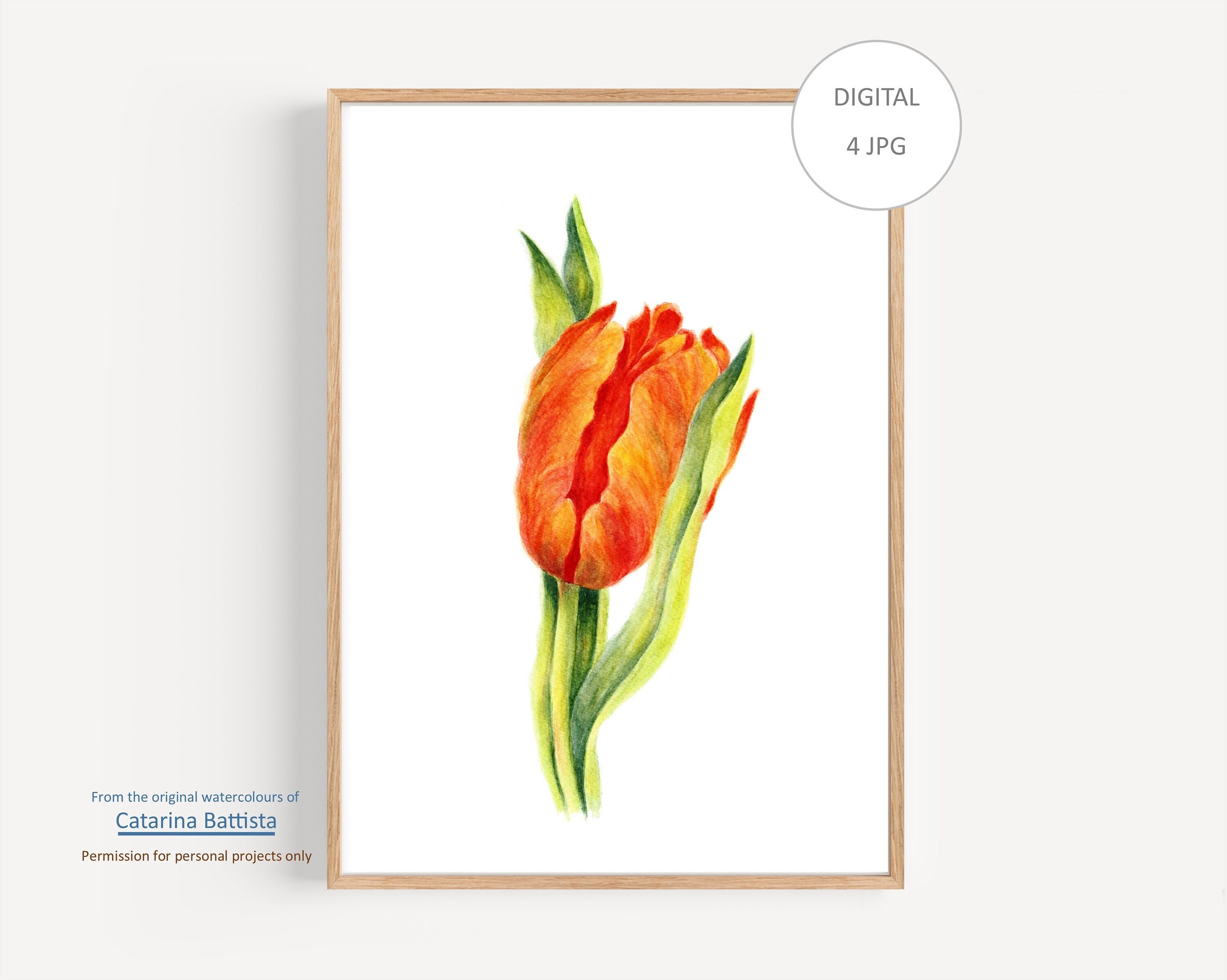 Floral Print, Tulip Watercolor Painting, Floral Wall Art, Tulip Digital ...