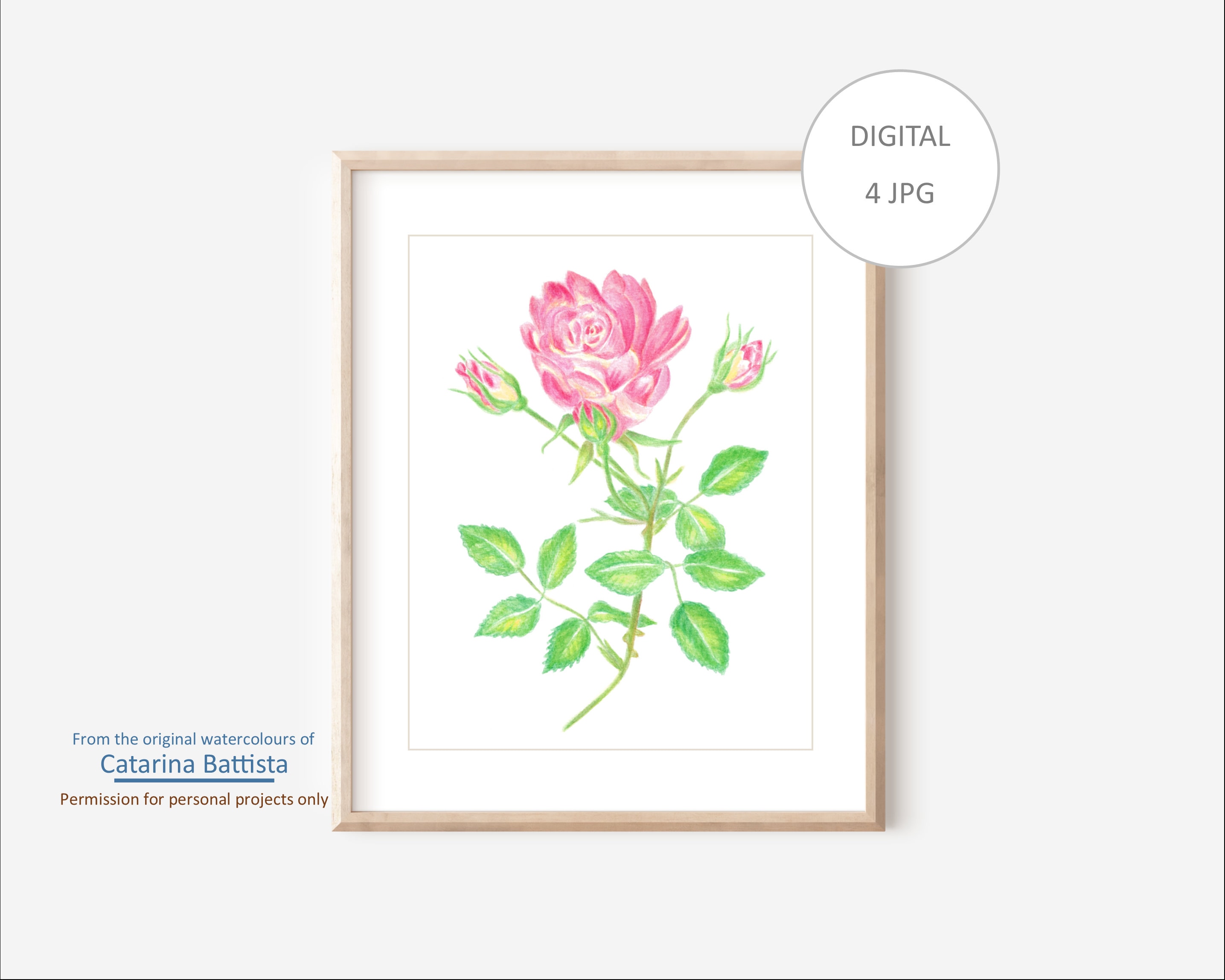 Pink Rose Printable Wall Art, Rose Watercolor Print, Flower, Rose ...