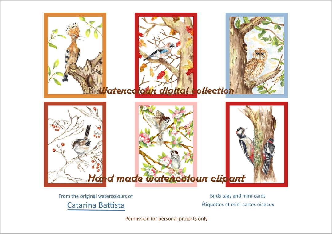 Watercolor Birds Gift Tags: Printable Mini-cards (digital Download) - Etsy