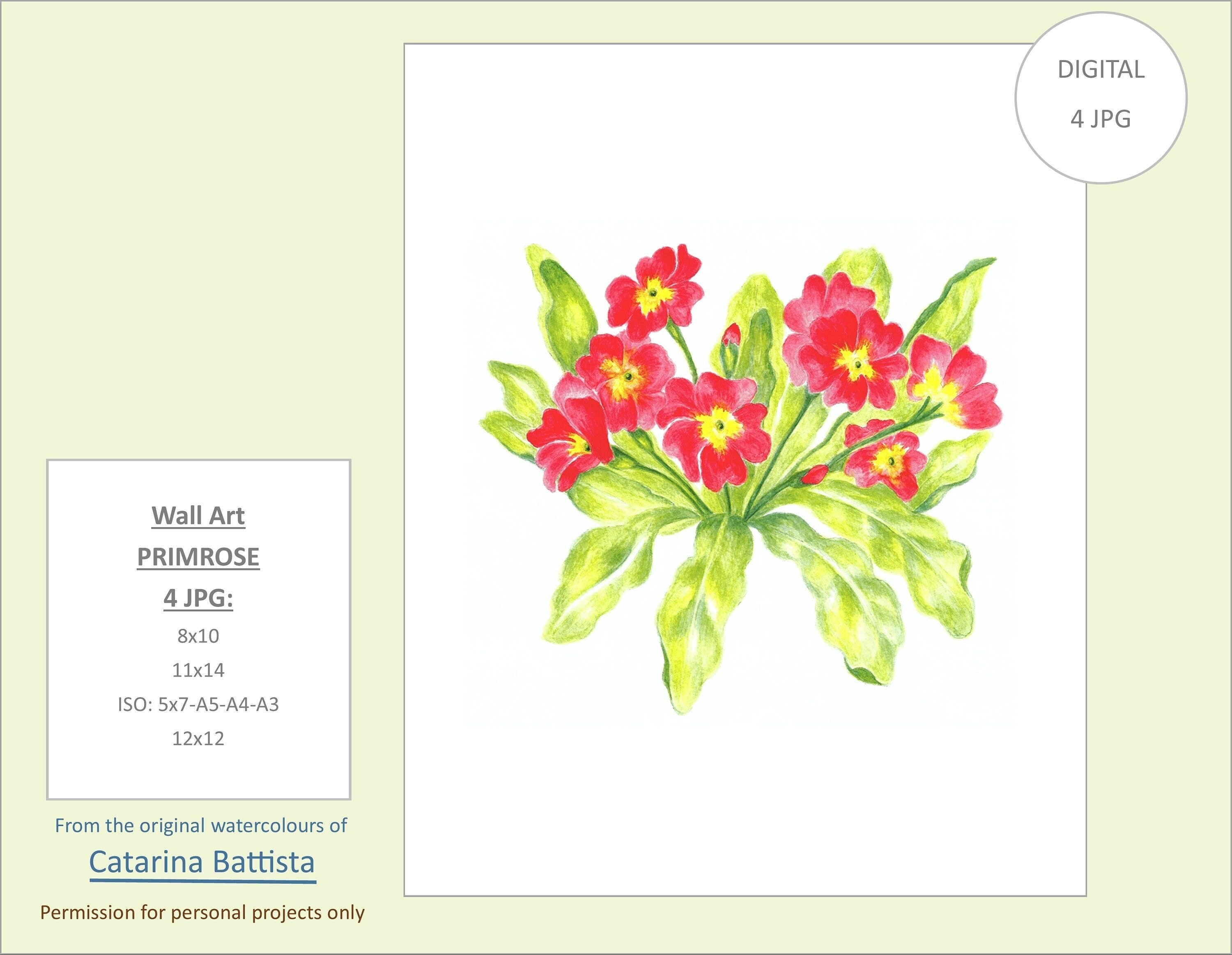 Flower Printable Wall Art, Watercolor Primrose Print, Wildflower ...