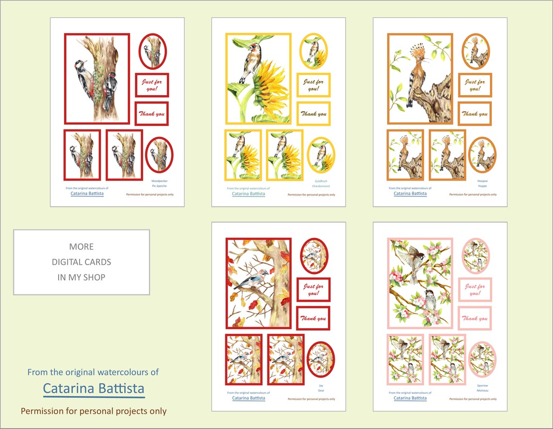 DAFFODIL CARD. Daffodil Watercolor. Flower Watercolor Ephemera Image ...