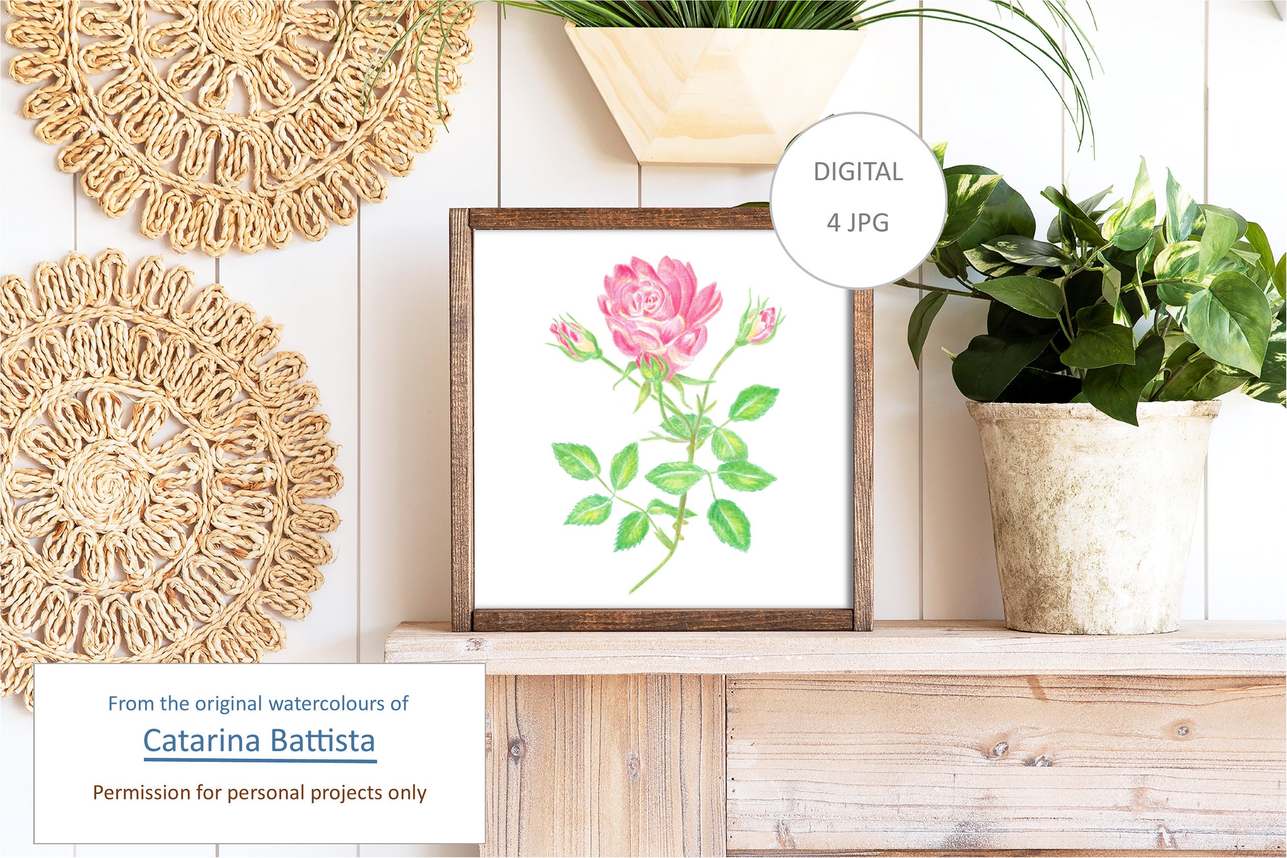 Pink Rose Printable Wall Art, Rose Watercolor Print, Flower, Rose ...