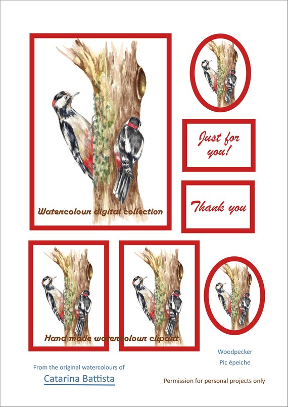 Bird Digital Card. Printable Download Craft Paper. Bird | Etsy