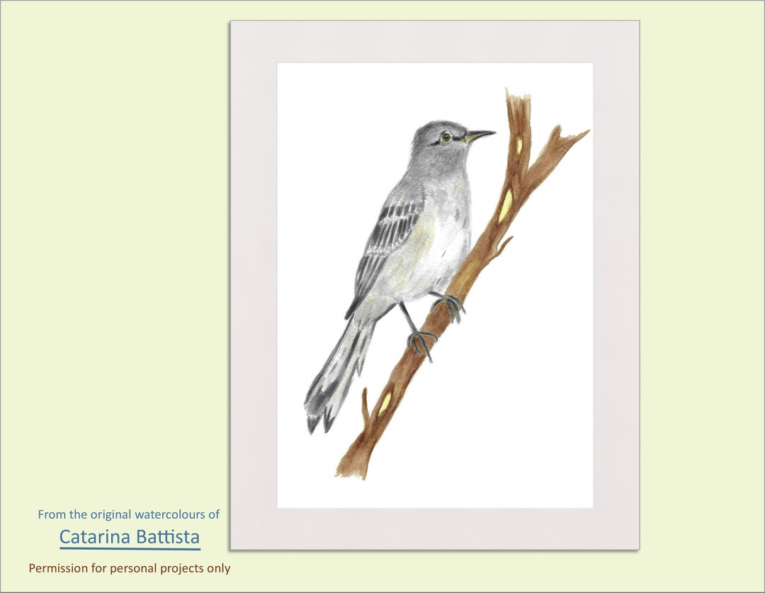 Bird Print, Mockingbird Watercolor Painting, Mockingbird Digital Bird ...