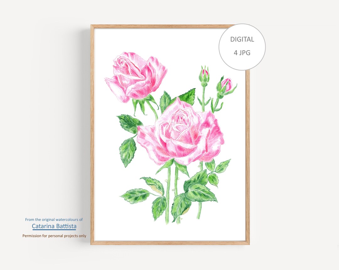Pink Rose Printable Wall Art, Rose Watercolor Print, Flowers, Rose ...