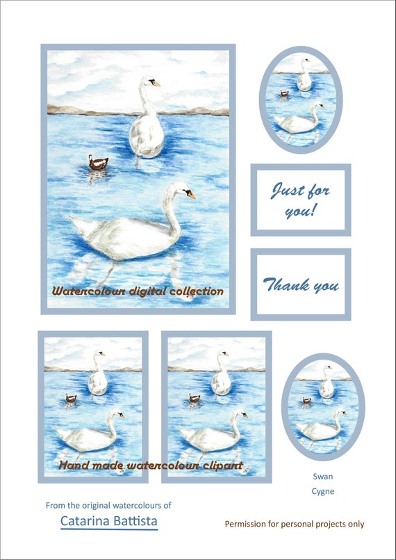 Swan Digital Card. Printable Bird Greeting Card Postcard | Etsy