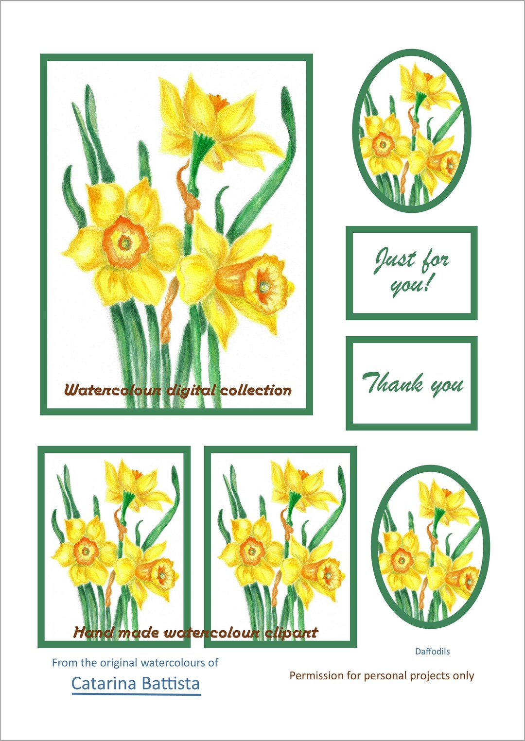 DAFFODIL CARD. Daffodil Watercolor. Flower Watercolor Ephemera - Etsy