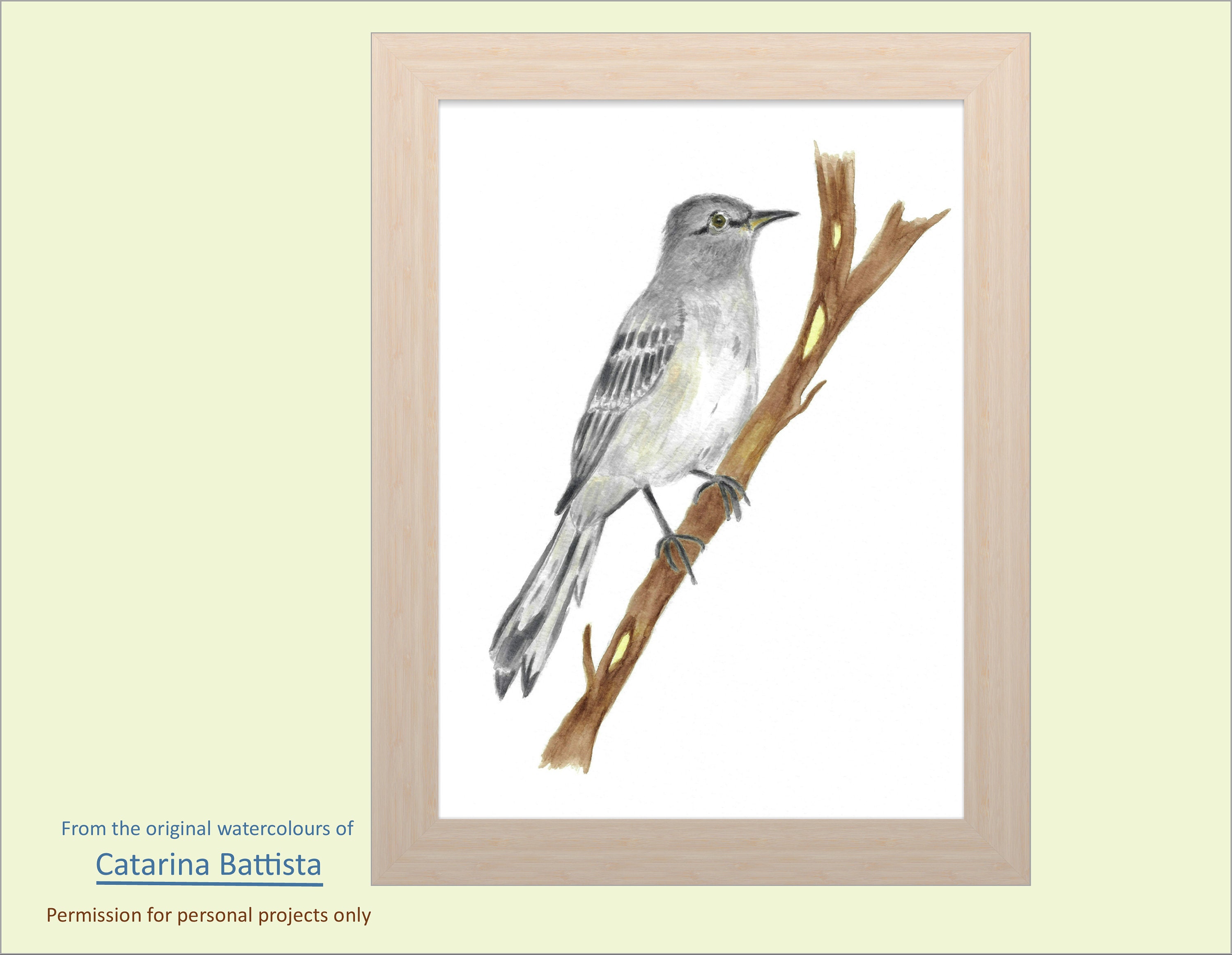 Bird Print, Mockingbird Watercolor Painting, Mockingbird Digital Bird ...