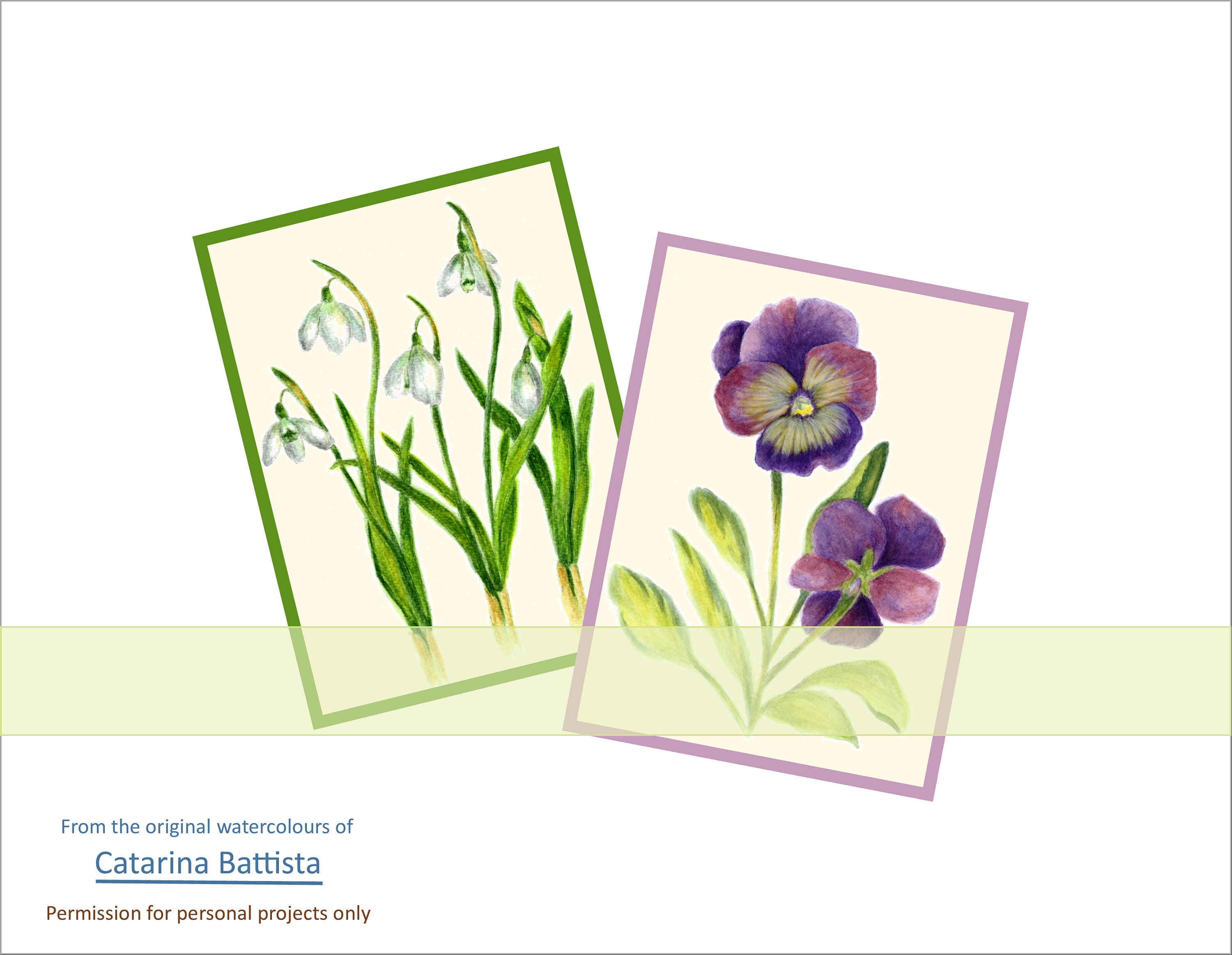 SPRING FLOWERS POSTCARDS. Printable Download. Botanical Tag, Digital ...