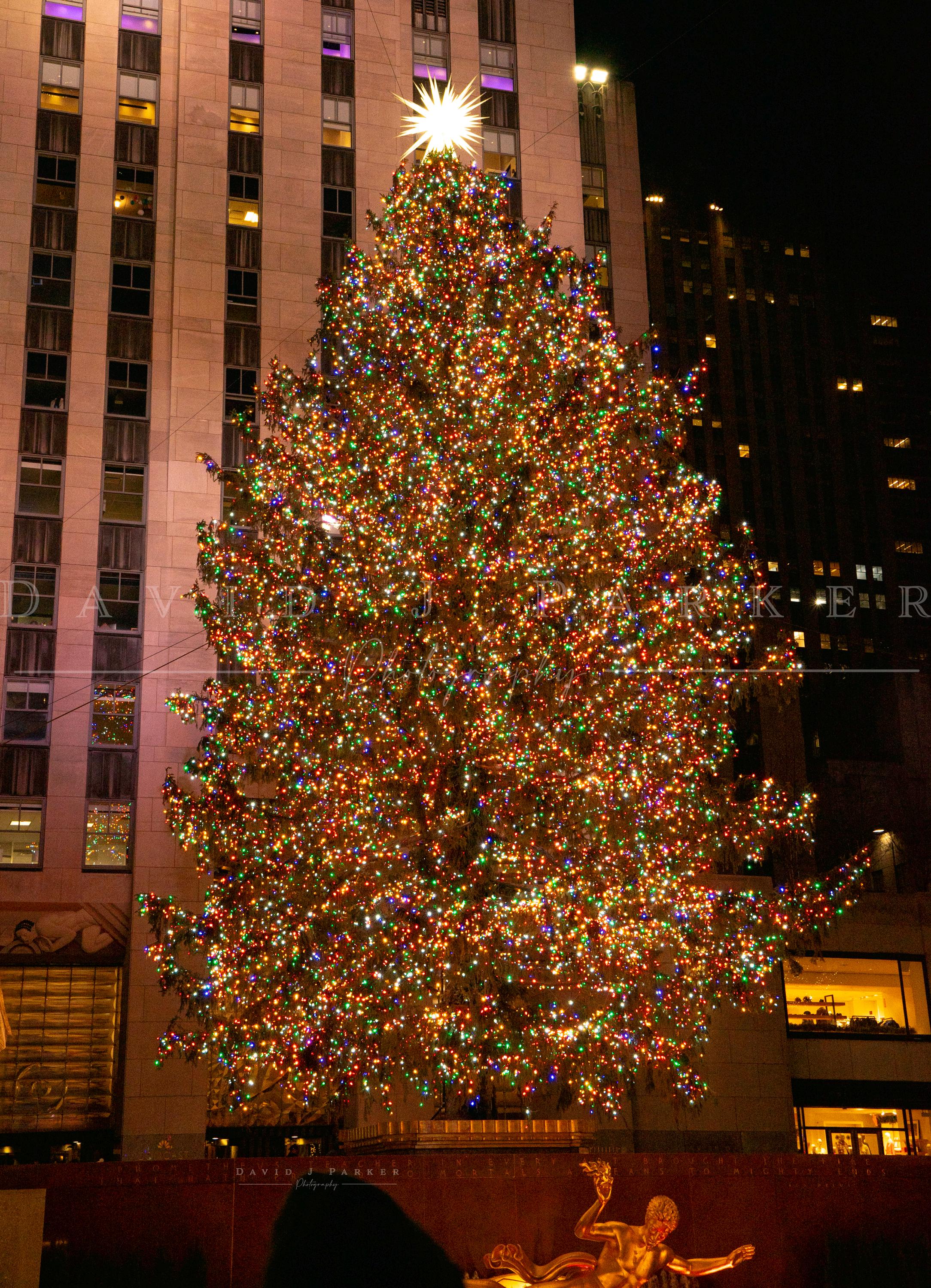 Rockefeller Christmas Tree, New York, Season, Holiday, Wall Decor, Fine ...