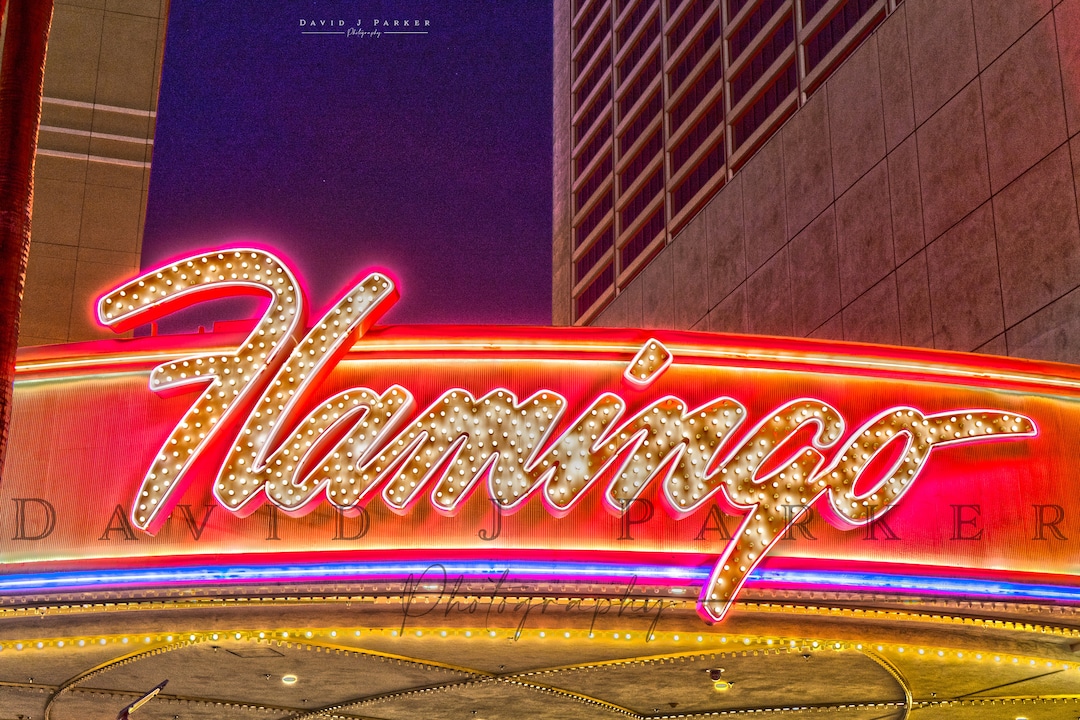 Flamingo Hotel Las Vegas Sign: Vintage Color Photography Print - Etsy