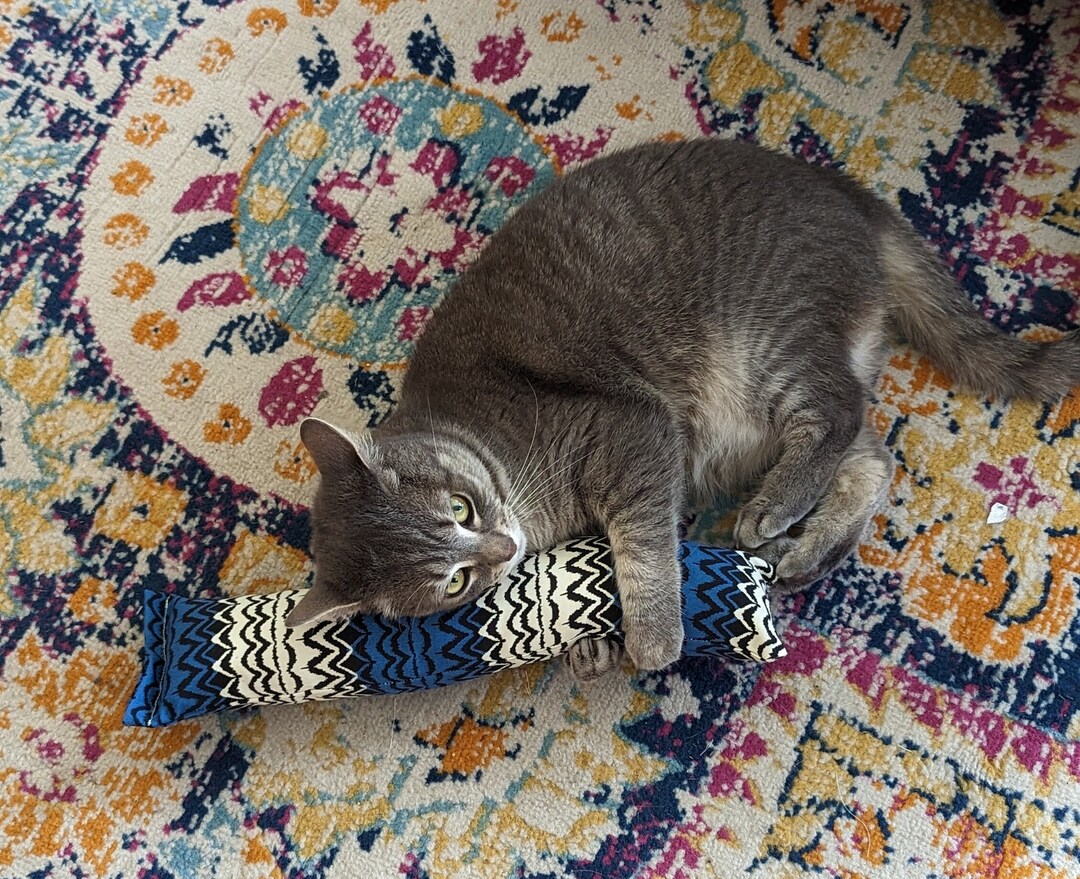 Heavy Duty Cat Kickers - Etsy
