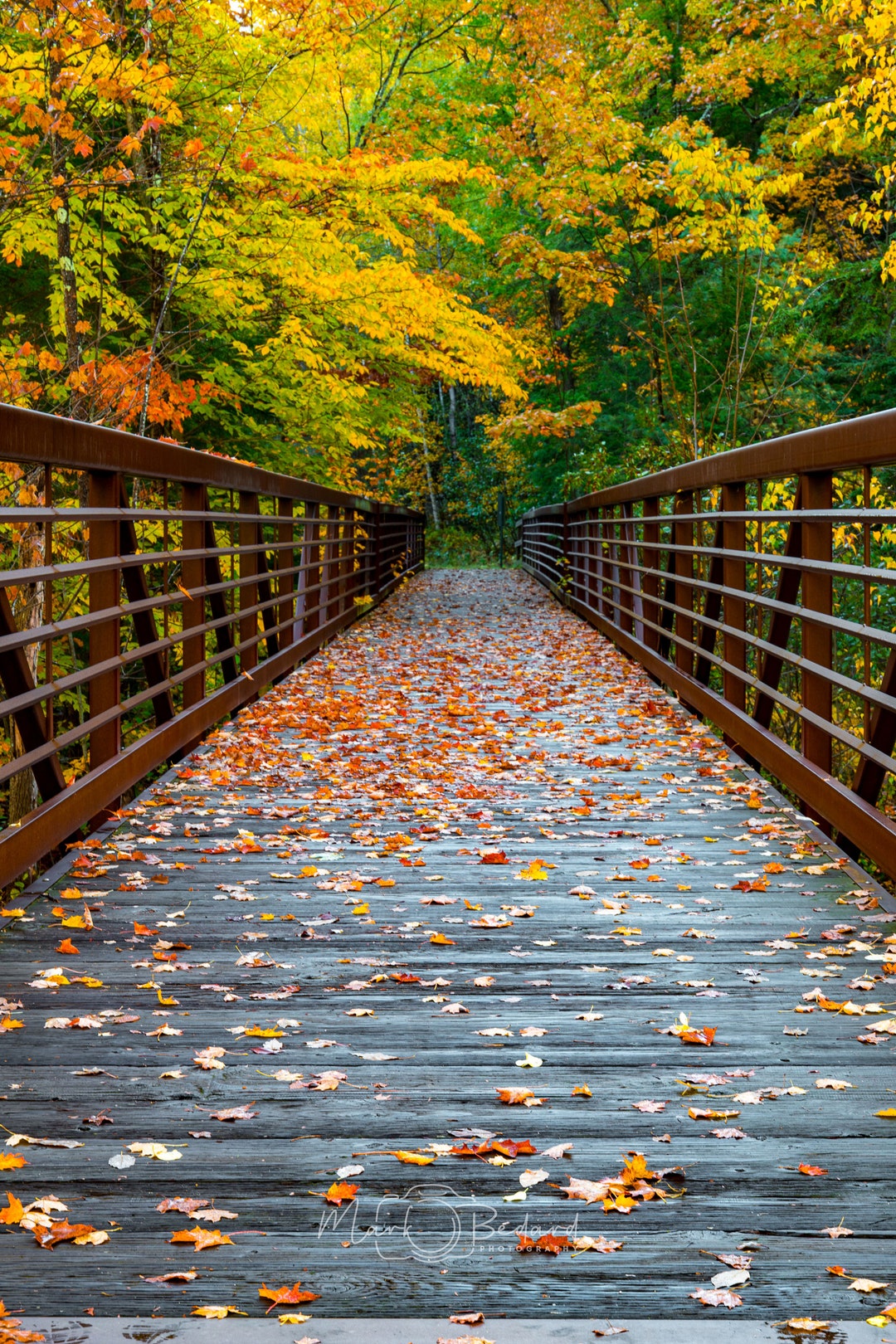 Newfound River Pedestrian Footbridge in the Fall - Etsy